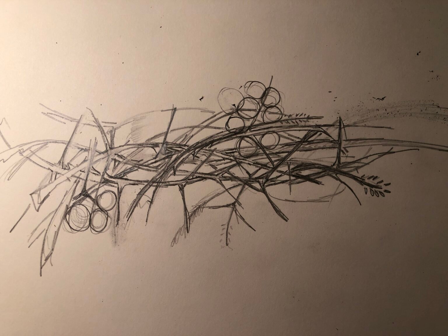 Nest – piedpipertale.com